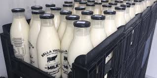 Bella Vacca Jerseys | Barcodes NZ